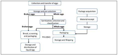 Flow Chart Of Egg Production System Download Scientific Diagram