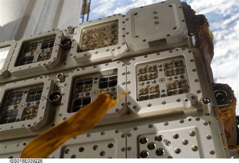 how well can seeds survive in space human world earthsky