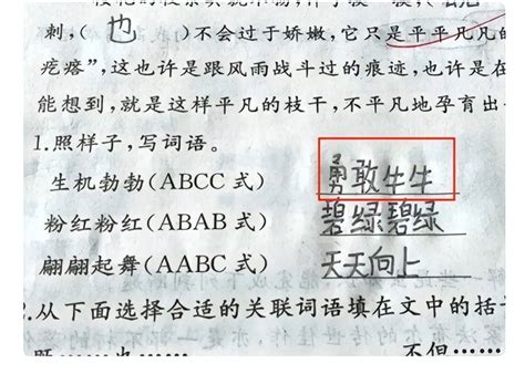 栓Q是什么梗小学生作文梗汇总 布丁导航网