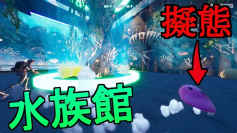 水族館内の生き物に擬態して隠れることができる神マップで遊んでみた フォートナイト かくれんぼ Youtube