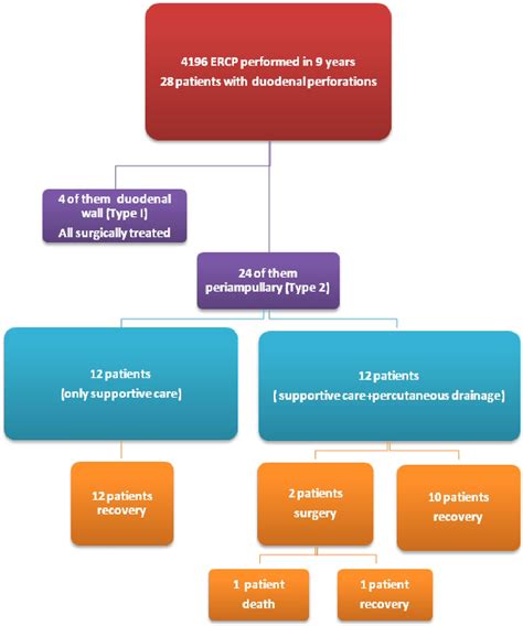 Non Operative Management Of Type 2 Ercp Related Retroperitoneal