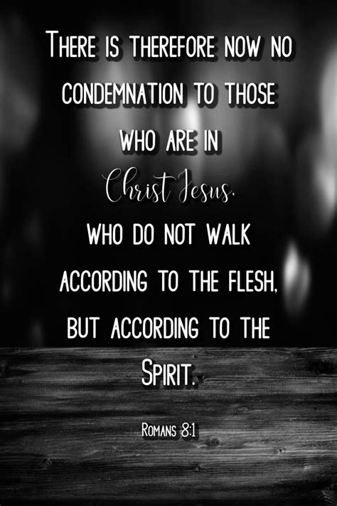 Delight Script 4 Font 21468