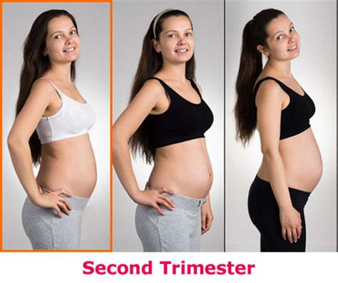 Justtoyou Fake Pregnant Belly Bump For Months Fake Belly Costume