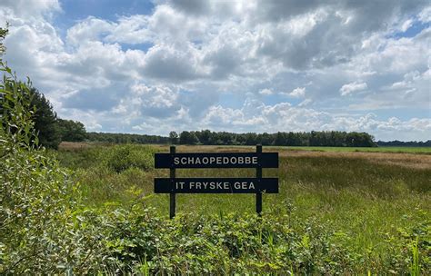 Contact Elsloo In Friesland