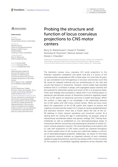 Pdf Probing The Structure And Function Of Locus Coeruleus Projections To Cns Motor Centers
