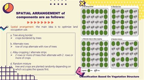 Definitions And Classification Of Agroforestry Systemspptx