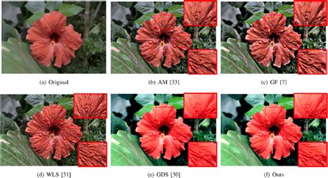Comparison Of Different Enhancement Algorithms On Flower Image For