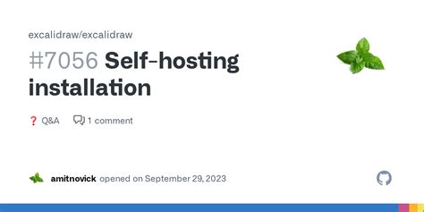 Self Hosting Installation · Excalidraw Excalidraw · Discussion 7056 · Github