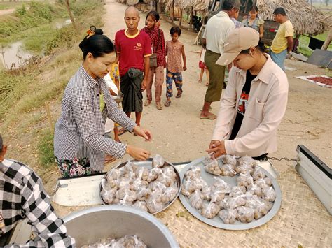 Myanmar Now မြန်မာနိုင်ငံအလယ်ပိုင်း စစ်မီးဒဏ်ကြားမှ