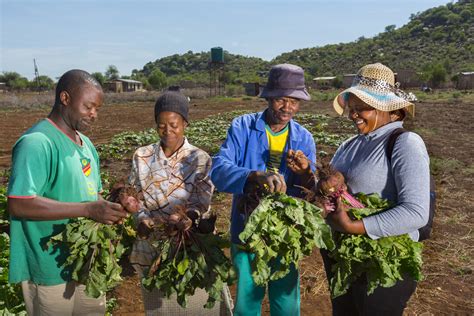 Anglo American Focuses On Scalable Long Term Esg Solutions As It Looks To An Era Of New Value