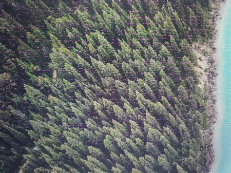 컴퓨터 화면 보라색 점 줄무늬 지식in