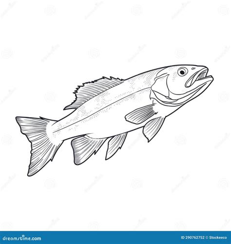Haddock Line Art Haddock Vector Haddock Illustration Haddock Drawing Haddock Sketch Ai