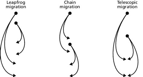 2 Conceptual Illustration Of Different Types Of Migrations Including Download Scientific