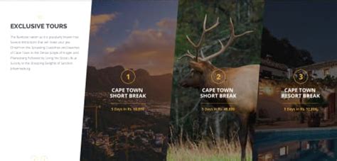 Html How Make Rotate Four Column Using Css Stack Overflow