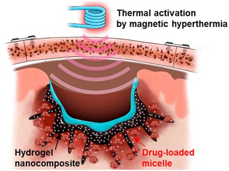 Penetrative And Sustained Drug Delivery Using Injectable Hydrogel Nanocomposites For
