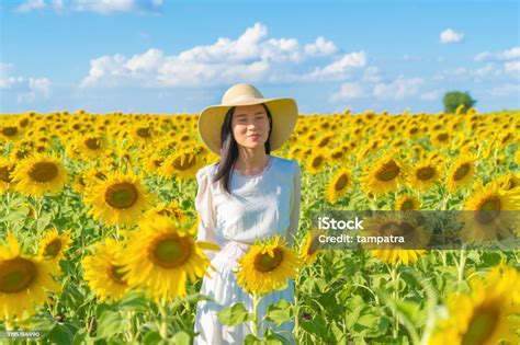 태국 롭부리의 정오에 자연 정원 공원에서 야외 여행 휴가 여행 중 만개 한 해바라기 밭에서 즐기고 휴식을 취하는 행복한 아시아 여성의 초상화 라이프 스타일 계절에 대한 스톡