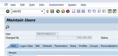 Check SAP Transaction Authorisation Data Using SU53