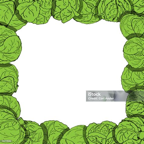 복사 공간이있는 야채 양배추의 프레임 흰색 배경에 벡터 일러스트 흑백 과 다채로운 낙서 고립 된 컷 아웃 개체 0명에 대한 스톡