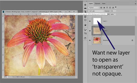 Adding New Layer Problem In Ps 2020 Adobe Community 10963422