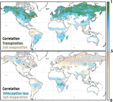 Correlation Between Land Evaporation Components Top Transpiration