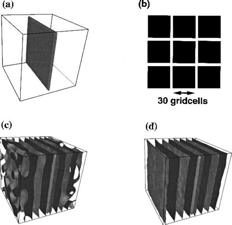 Figure 2 From Dynamics Of Surface Directed Mesophase Formation In Block Copolymer Melts