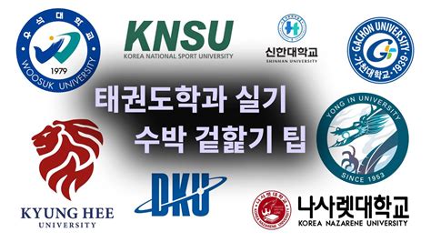 태권도학과 입시 실기 Youtube