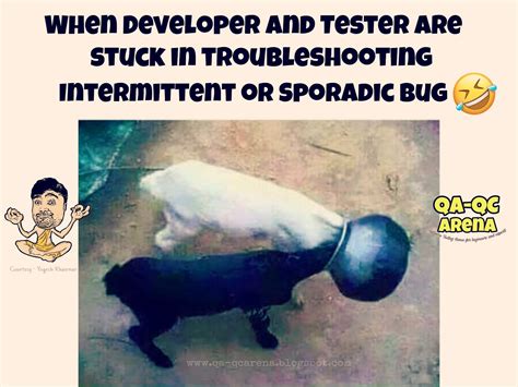 QA QC Arena Testing With Fun Memes Series 7
