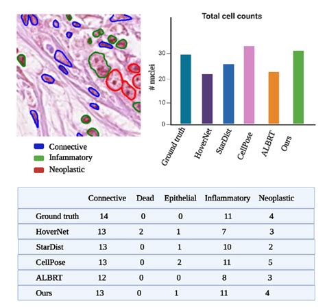 Cell Type Count Hamid Behravan Ai Research Team Uef