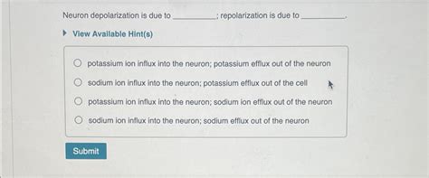 Solved Neuron Depolarization Is Due To Repolarization Is Due