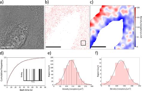 Kinetic Counting Of Egfr On An A 431 Cell Workflow Of Receptor