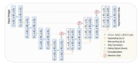 attention unet and its implementation in tensorflow idiot developer