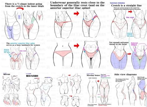 Pin By Dmitry Karavenkin On 🎨tutorials Drawing Body Reference Drawing Human Anatomy Drawing