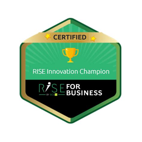 Bcg Rise For Business Top 2 Innovation Champion Credly
