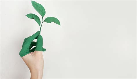 Vegetable Based Inks And Soy Inks