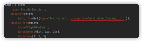 Problem About Train Py Issue Visual Attention Network Segnext Github