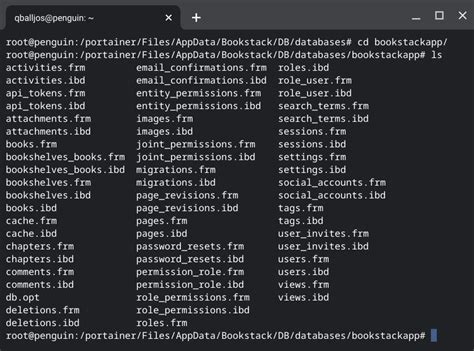 Bookstack Fails To Install · Issue 21 · Qballjosportainertemplates