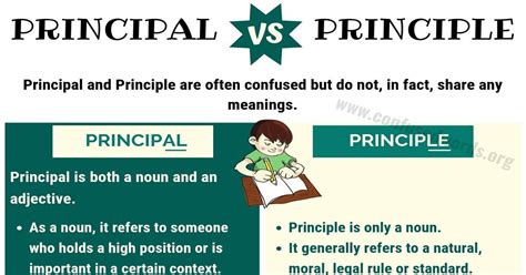 Principal Vs Principle How To Use Principle Vs Principal In Sentences Confused Words Words