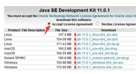 Java Jdk11 环境变量配置 Csdn博客 Java Jdk11 环境变量配置 Csdn博客