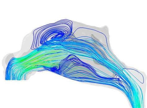 Velocity Streamlines In The Right Upper And Left Lower Nasal Cavity