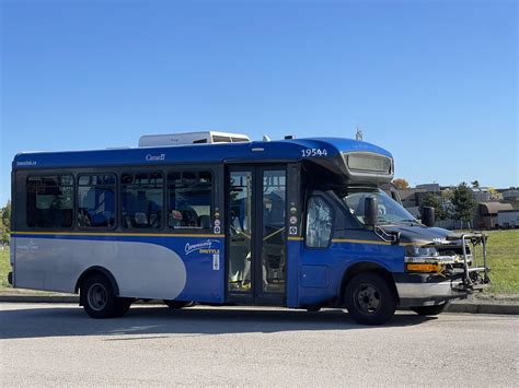 Translinkbusses