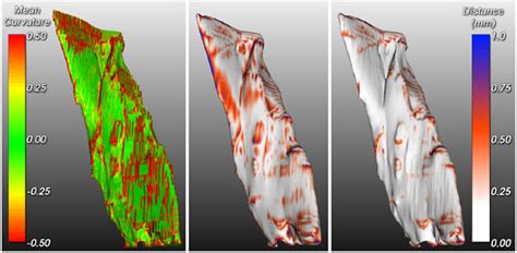 Generation Of Surface Models From Segmented Medical Image Data