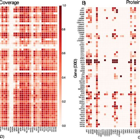 sequence coverage and interaction heat map for wnt pathway interactome