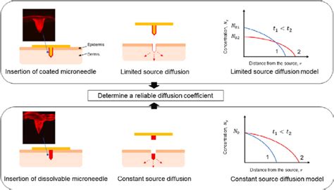 Diagrammatic Illustration Showing The Dynamics Of Drug Diffusion From
