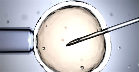 The Science And Ethics Behind Genetic Embryo Screening Cbs News