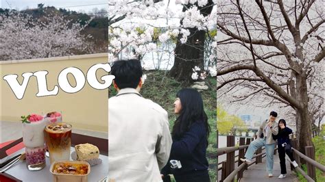 일상 Vlog 장거리 커플의 휴일 같이 보내기 친구와 함께하는 벚꽃 구경 직장인 브이로그 Youtube