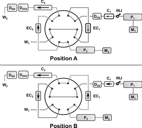 The Schematic Diagram Of Mda Mb 231cmc Hplcms System Where Cmc Is