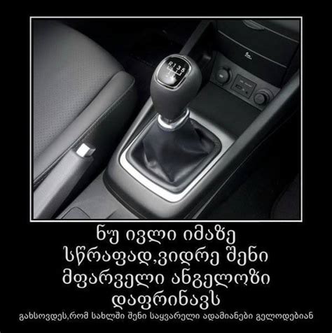 მფრინავი ვერმიშელი