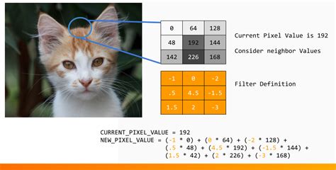 convolutional neural network tutorial by shubham sah medium