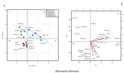 Principal Component Analysis Pca Scores Plot A And Biplot B Download Scientific Diagram