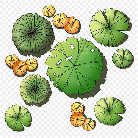 Tree Plan PNG Vector PSD And Clipart With Transparent Background For